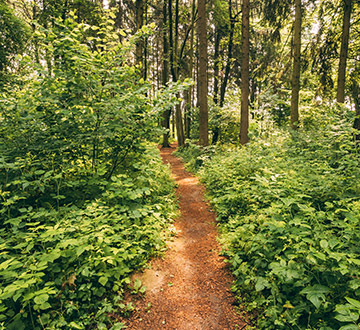 Gallery Masonary – OAPI – PPOV